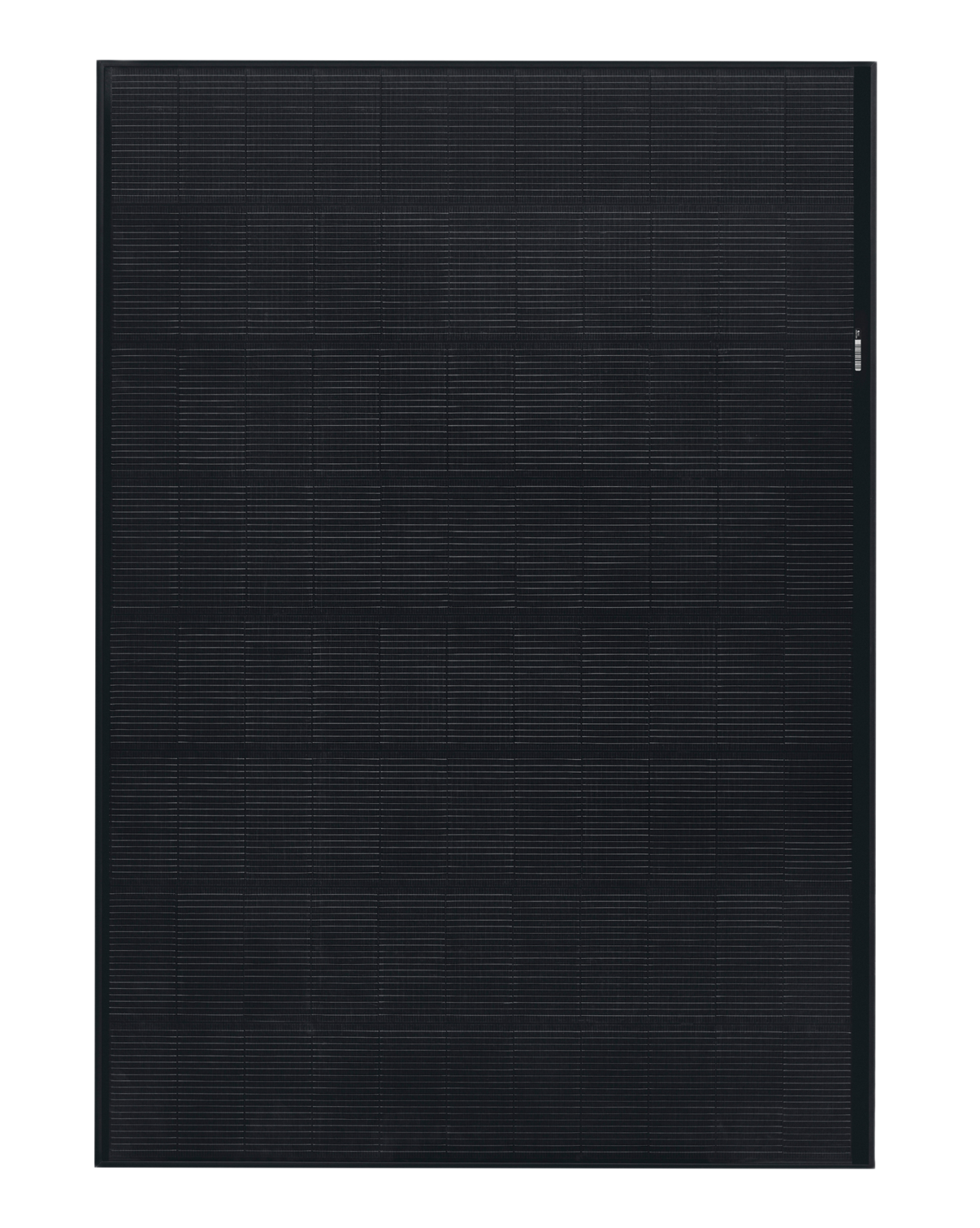 REC Alpha Pure-RX Series – Wind & Sun